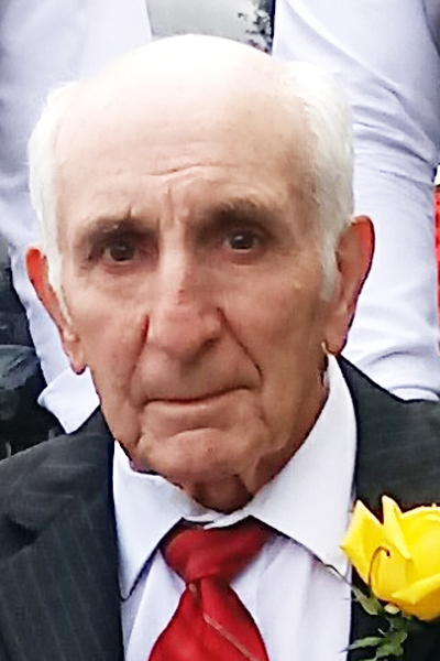 Theodore Anthony Flora, 1940-2019 | News, Sports, Jobs - The Vindicator